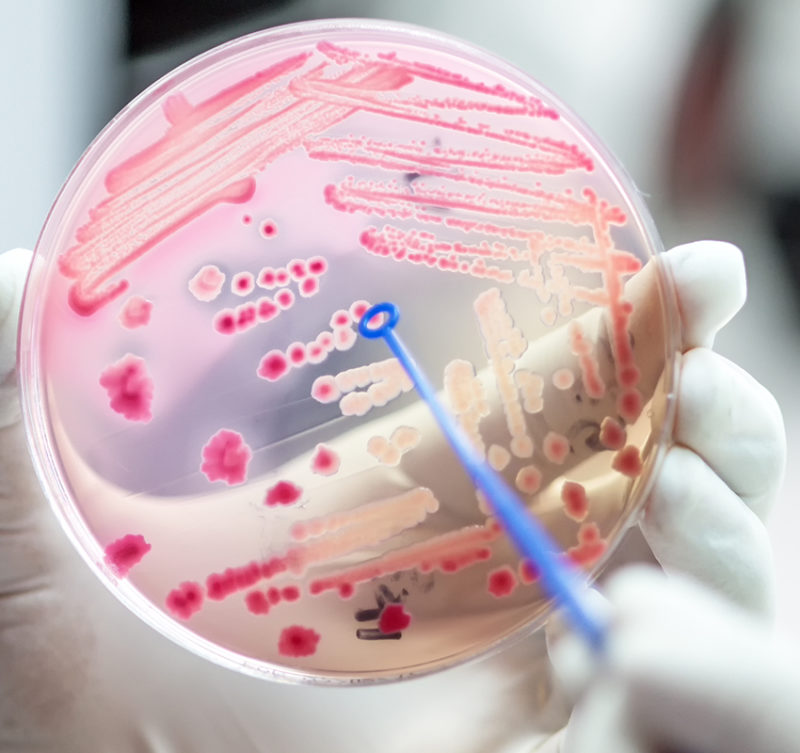 Infection Targeting | Health Targeting | Healthy Ads